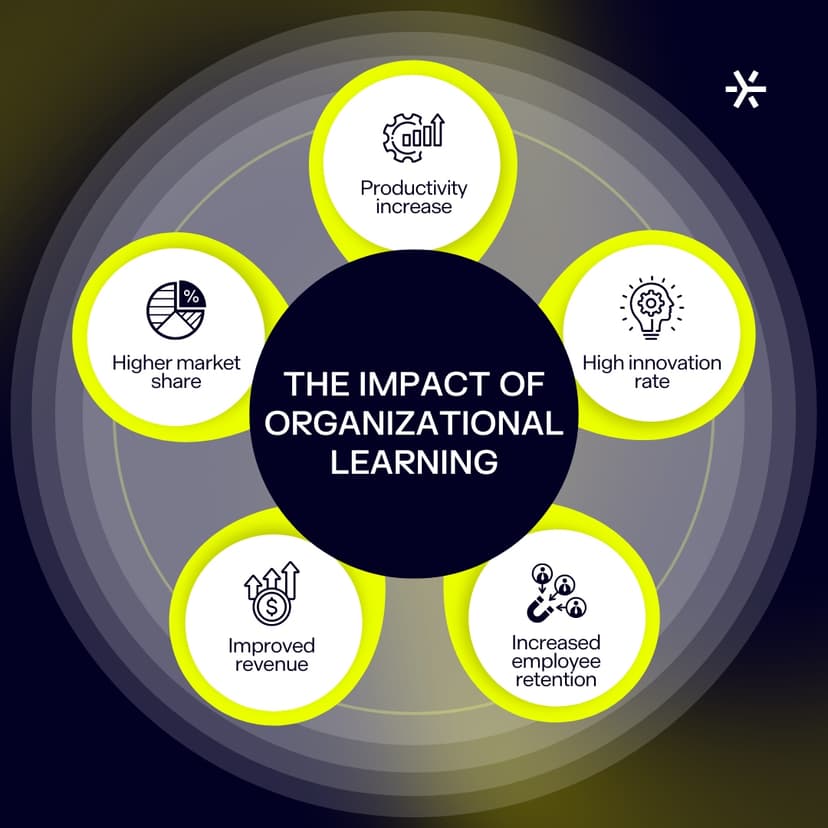 The anatomy of a learning organization - Lumenalta